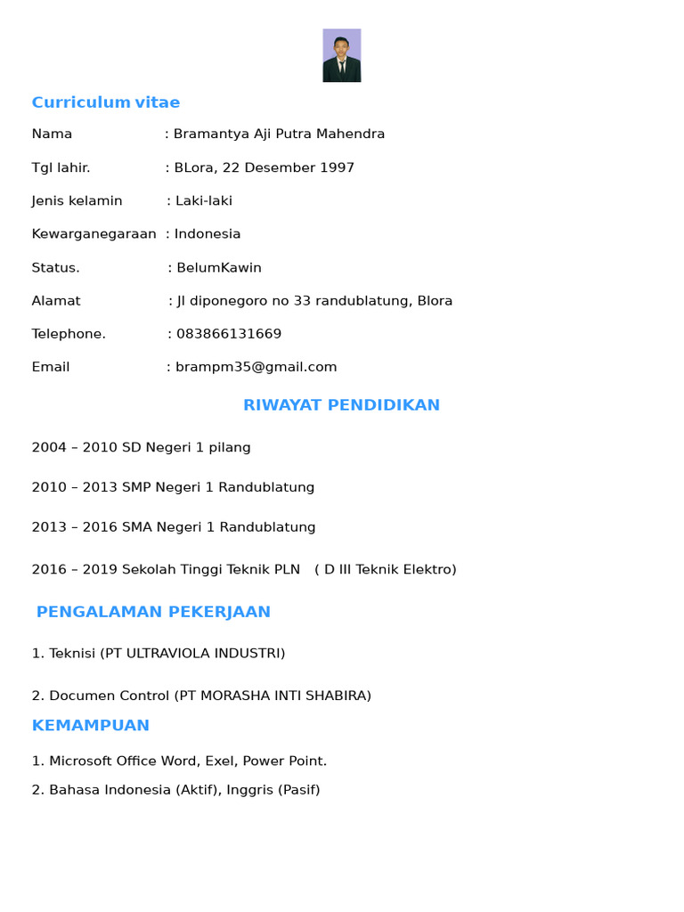 CV Bram - Docx - 20240419 - 161614 - 0000 - Removed | PDF