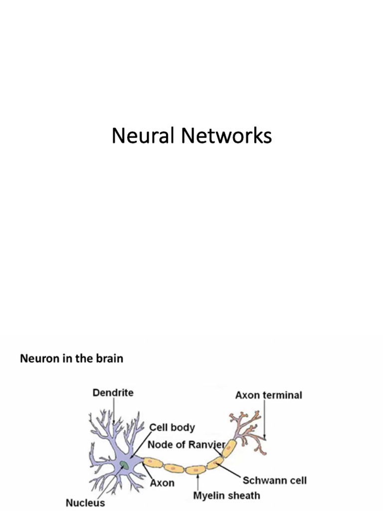 Artificial Neural Networks | PDF