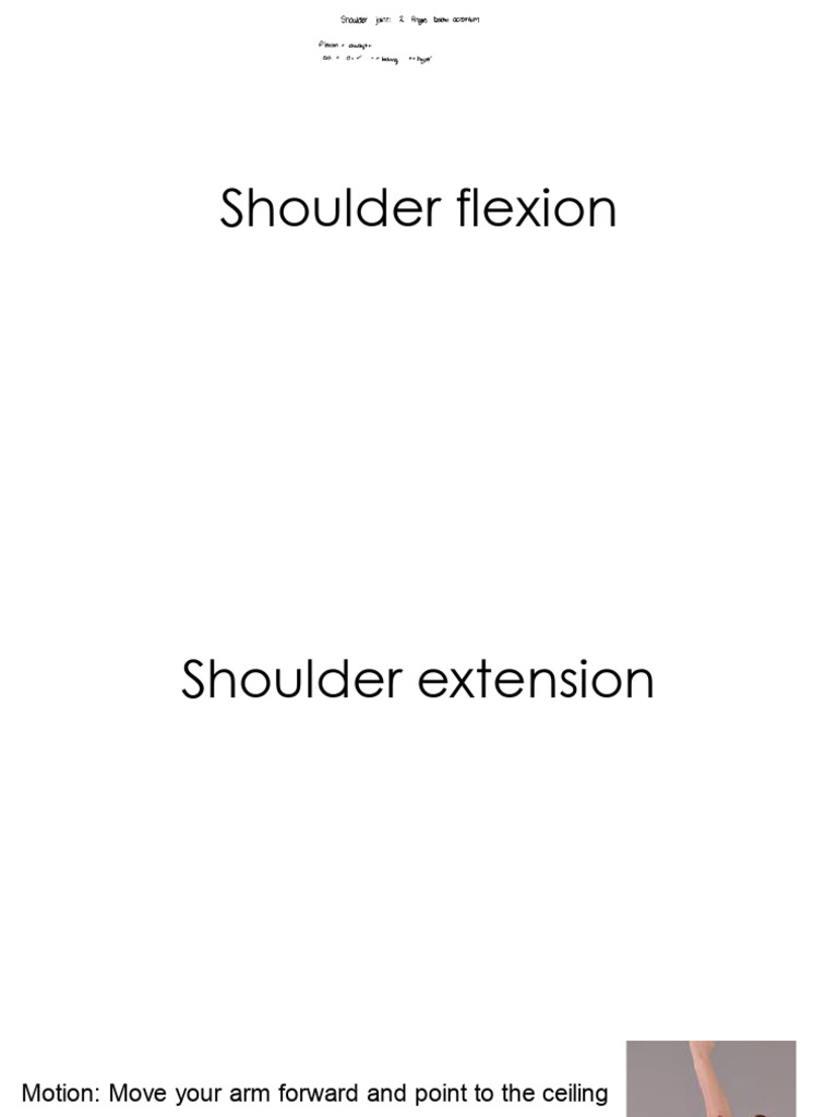 Range of Motion FLASH | PDF | Anatomical Terms Of Motion | Thumb