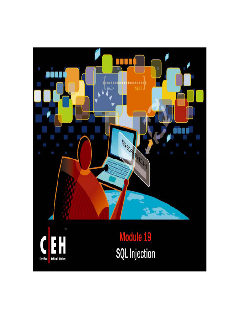 SQL Injection | PDF