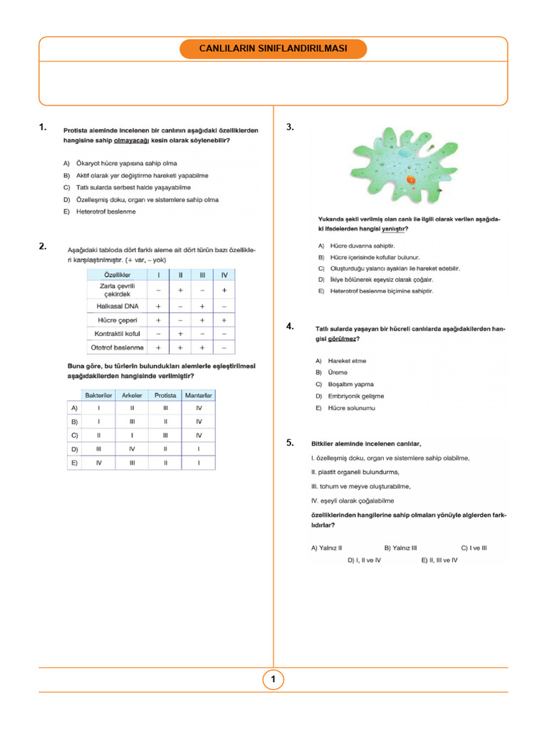 Canlilar Dunyasi 25 Soru | PDF