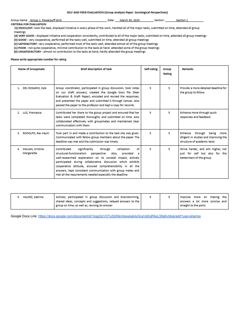 Group 1 - Self and Peer Evaluation Group Analysis Paper | PDF | Human ...