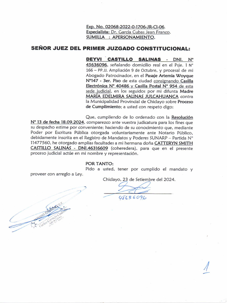 Castillo Salinas Deyvi (2068-2022) | PDF