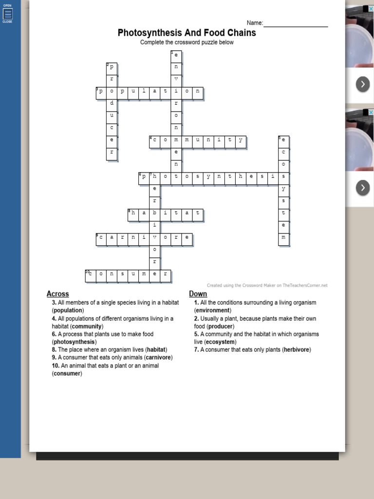 Photosynthesis and Food Chains | PDF | Foods | Plants