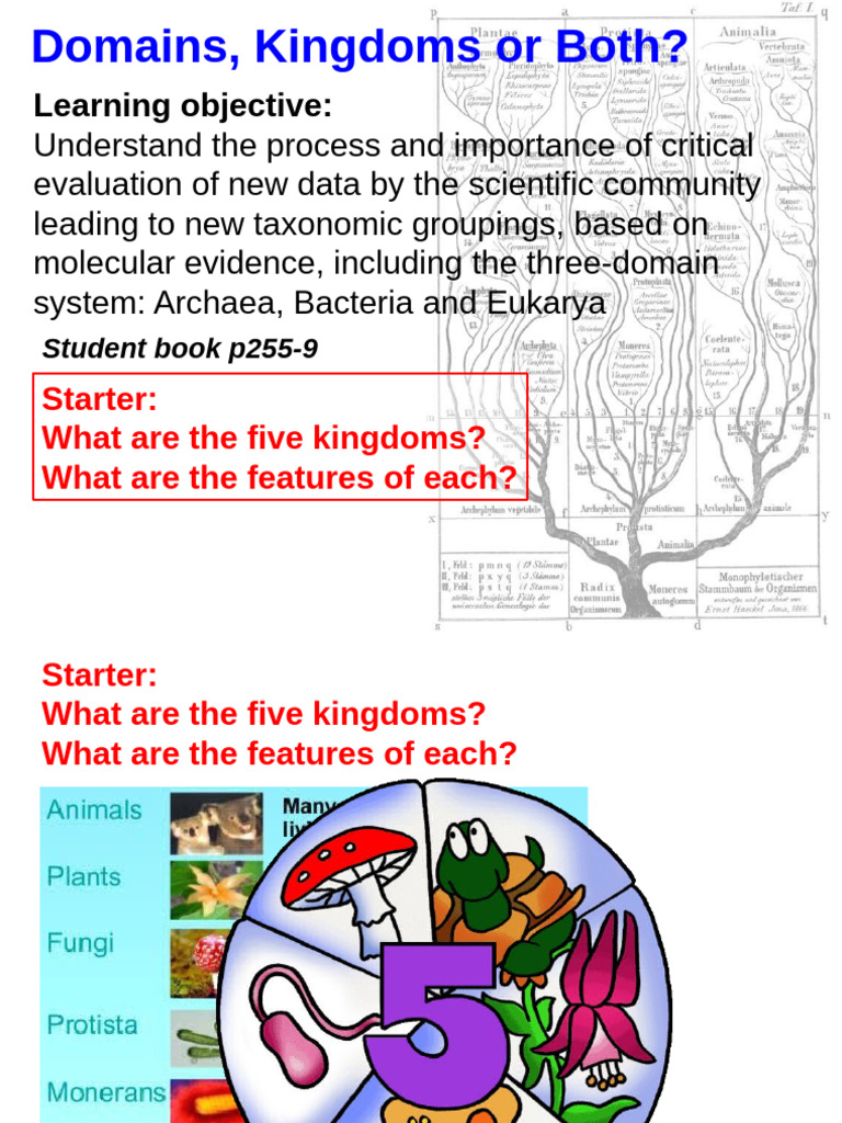 Molecular Phylogeny and Taxonomy Insights | PDF | Biology | Biological ...