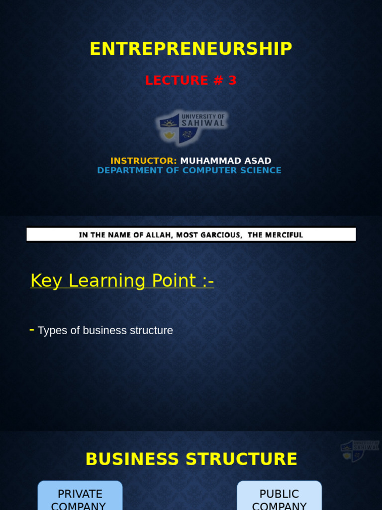 Understanding Business Structures in Entrepreneurship | PDF ...