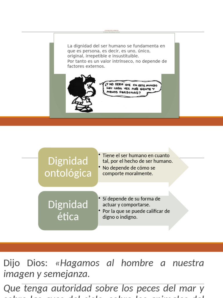 Dignidad Humana | PDF | Dignidad