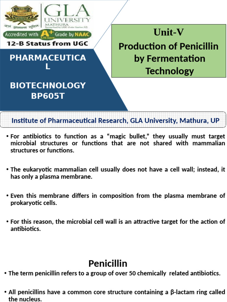 Production of Penicillin by Fermentation Technology | PDF | Penicillin | Mold