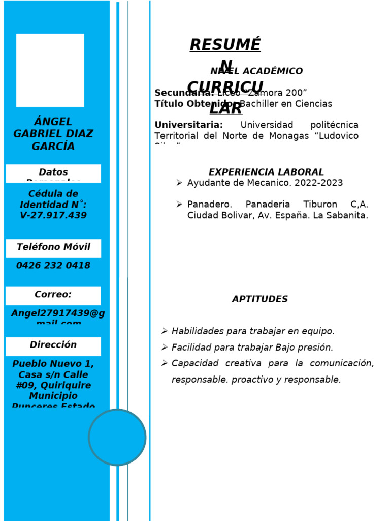 Curriculum Angel | PDF