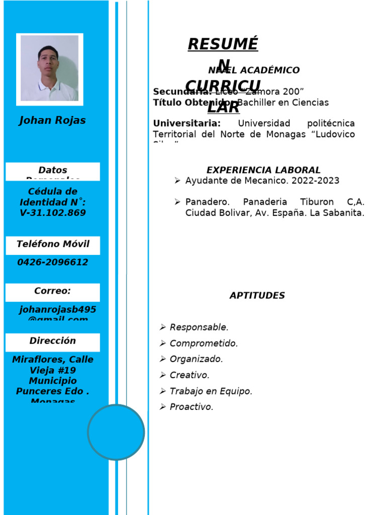 Curriculum Johan | PDF