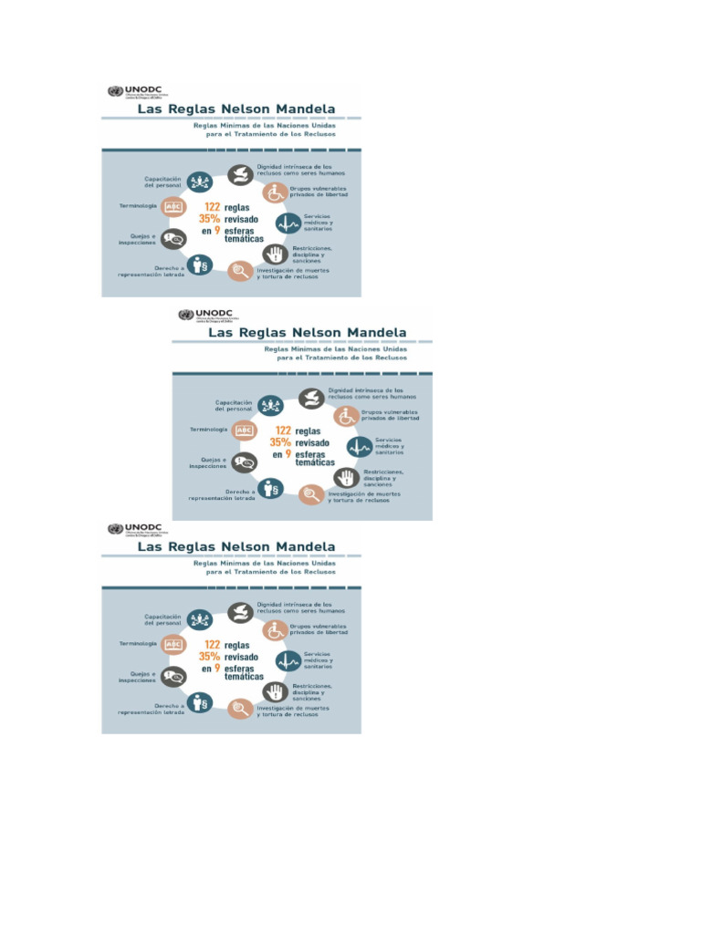 Reglas Mandela | PDF