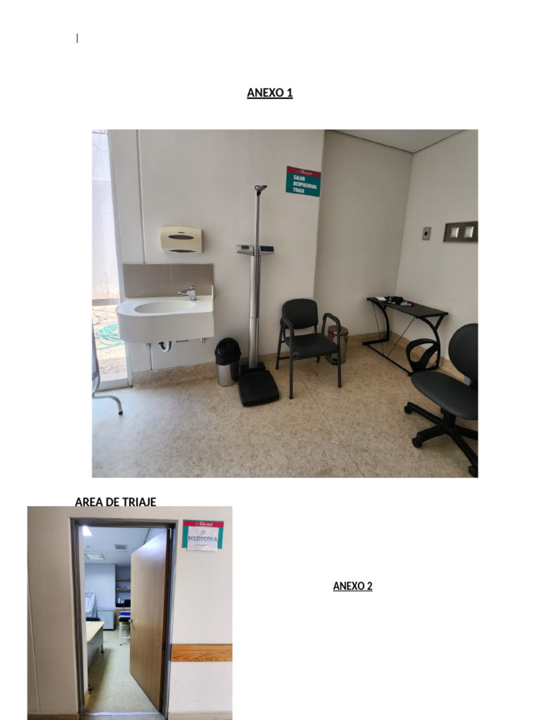 Anexoooos Diresa | PDF