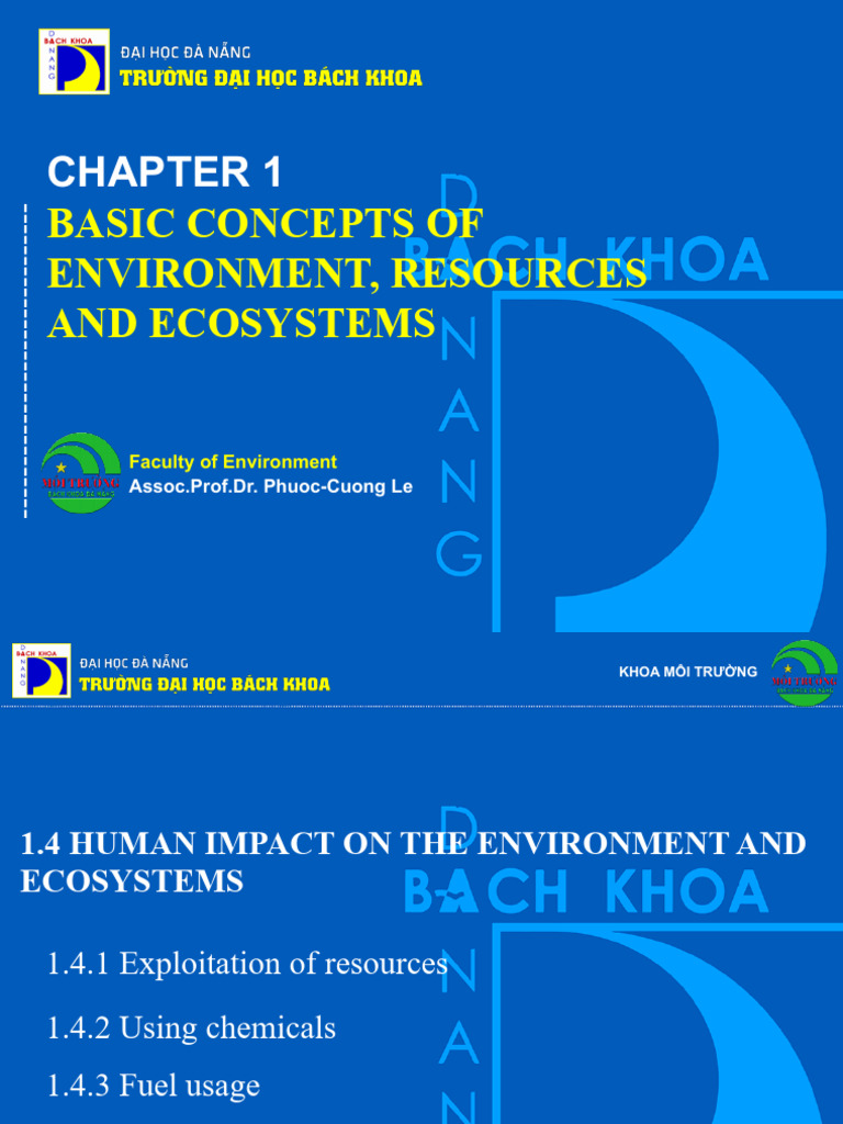 Human Impact on Ecosystems Explained | PDF | Soil | Ecosystem