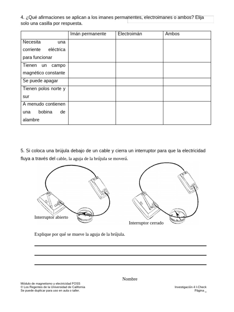 Spanish Magnetism Test | PDF