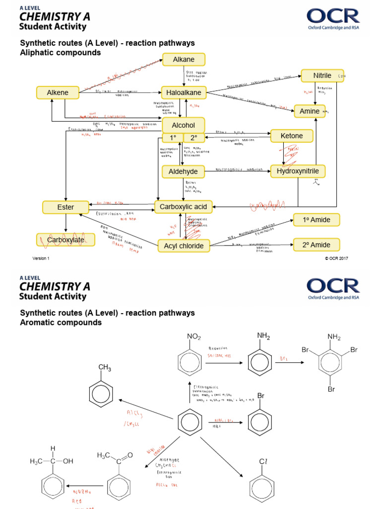 Organic Pathways Practice | PDF
