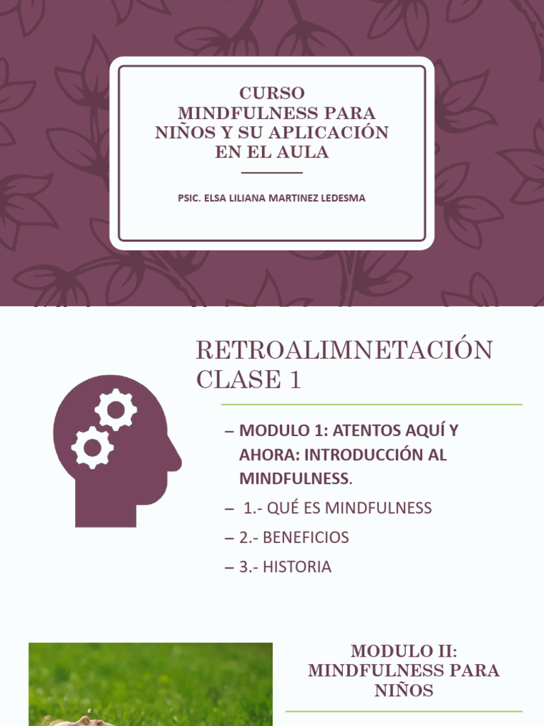 Módulo 2 Curso Mindfulness y Su Aplciacion en El Aula | PDF | Cerebro ...