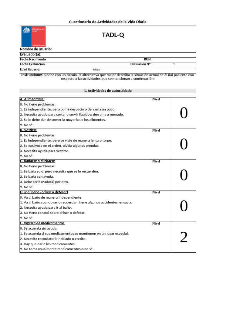 Formato Planilla TADL-Q y BARTHEL (Final) | PDF | Internet | Contraseña