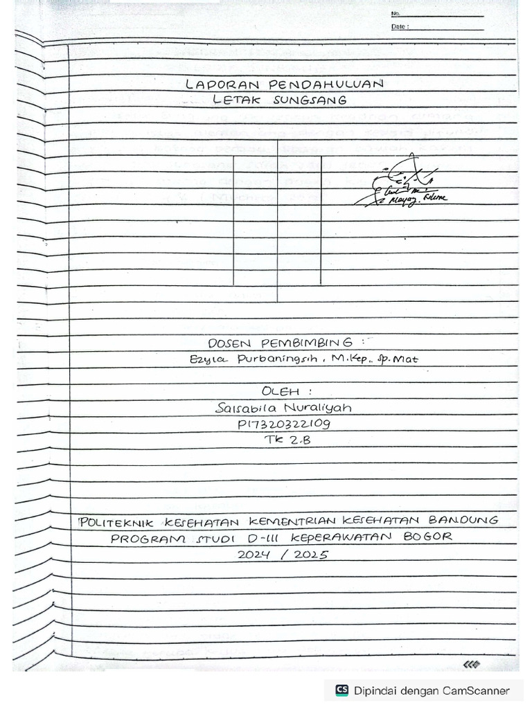 LP Letak Sungsang | PDF