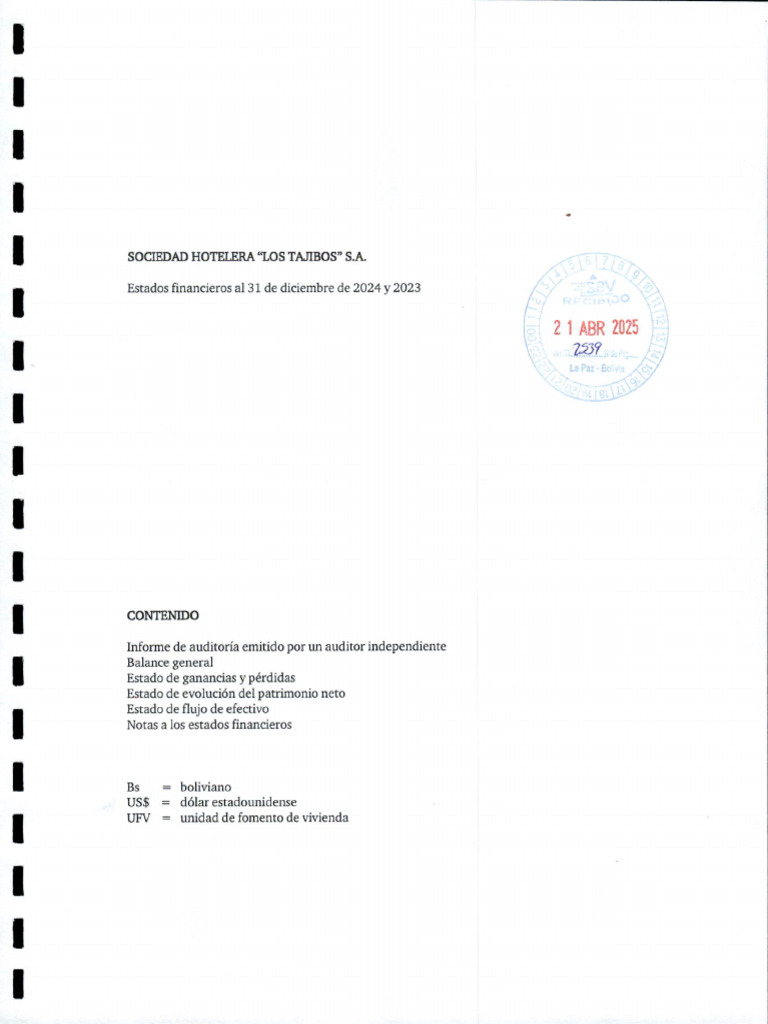 EEFF 2024.. | PDF | Auditoría | Preocupación continua