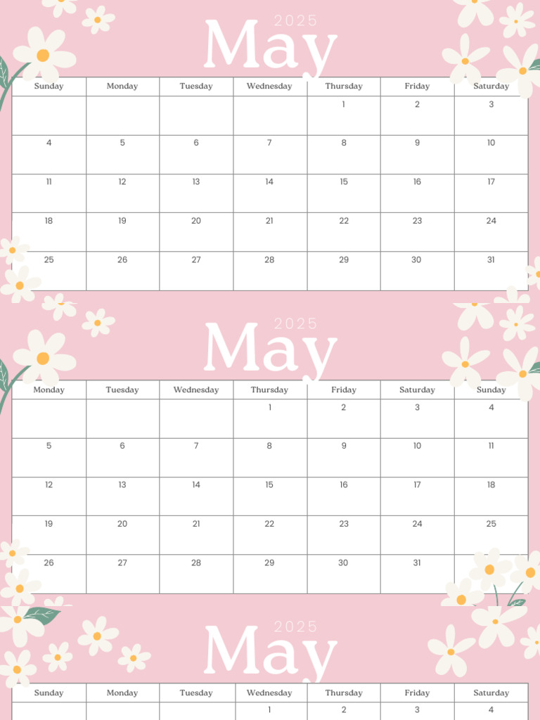 Pink Daisy Planner 2025 May Monthly Calendar | PDF