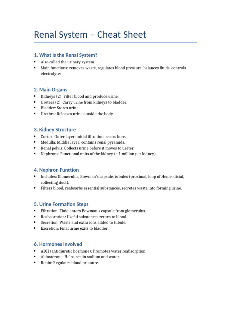 Renal System Cheat Sheet | PDF