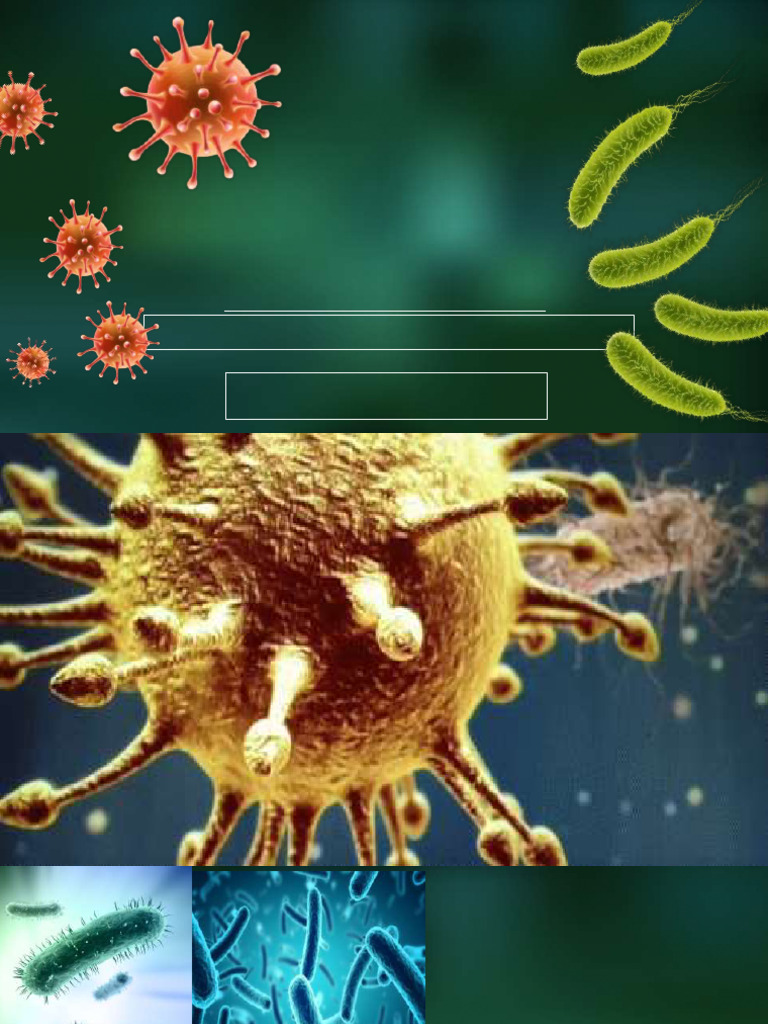 LESSON 2 Bacteria Viruses 075941 | PDF | Bacteria | Virus