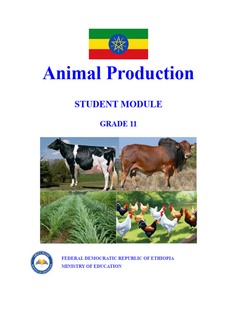 Grade 11 Animal Production Module | PDF | Dairy Farming | Dairy Cattle
