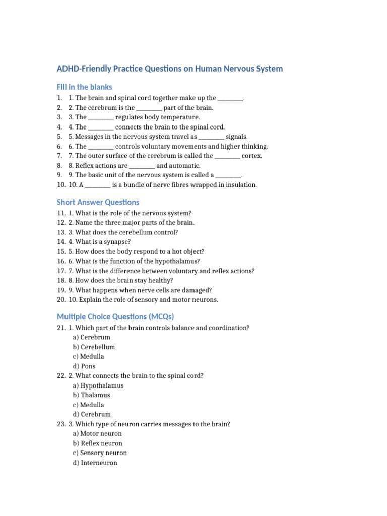 Human Nervous System Questions | PDF