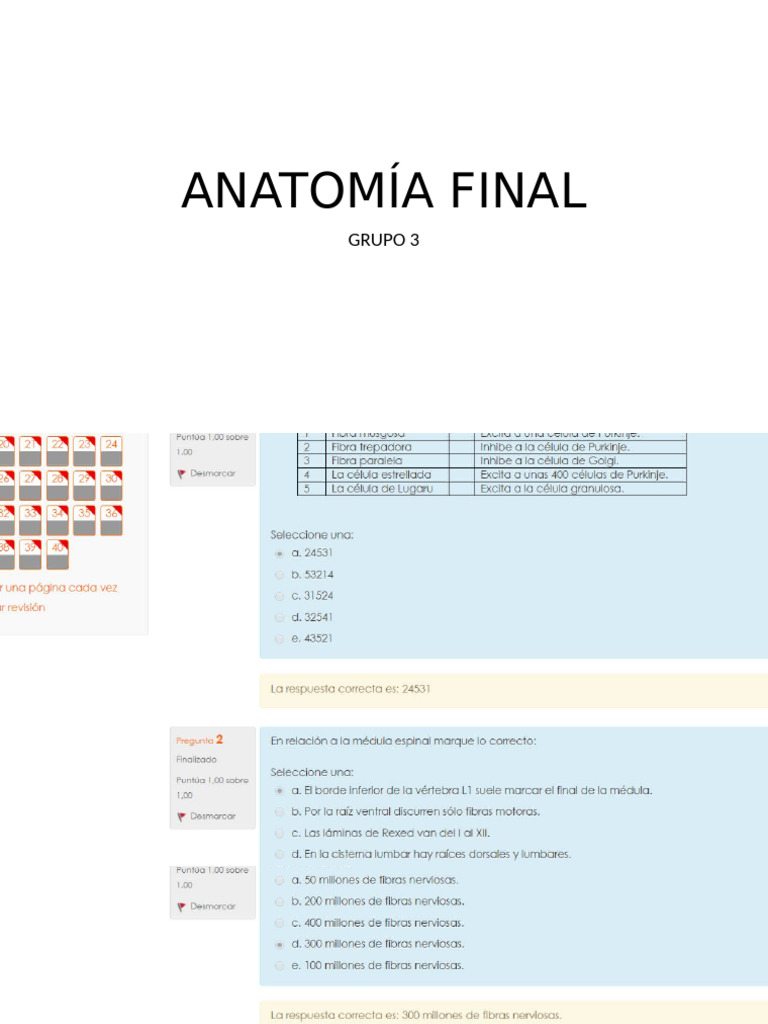 Anatomia Final 3 | PDF
