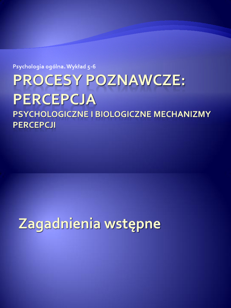 Procesy Poznawcze | PDF