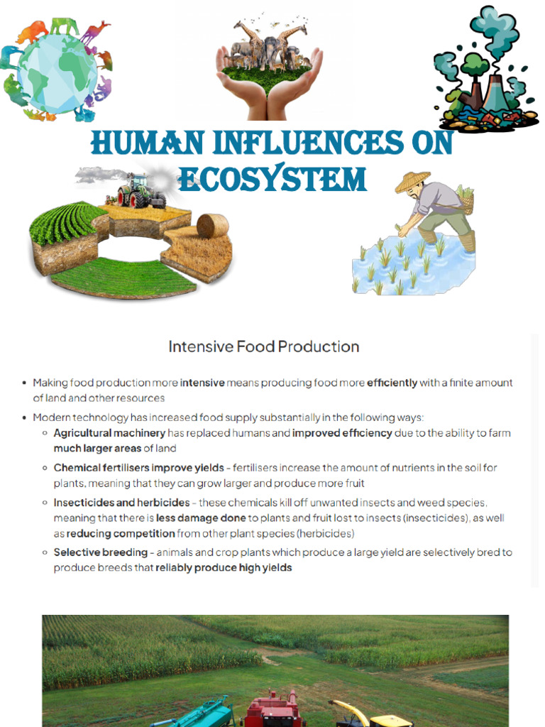 Human Influences On Ecosystem | PDF