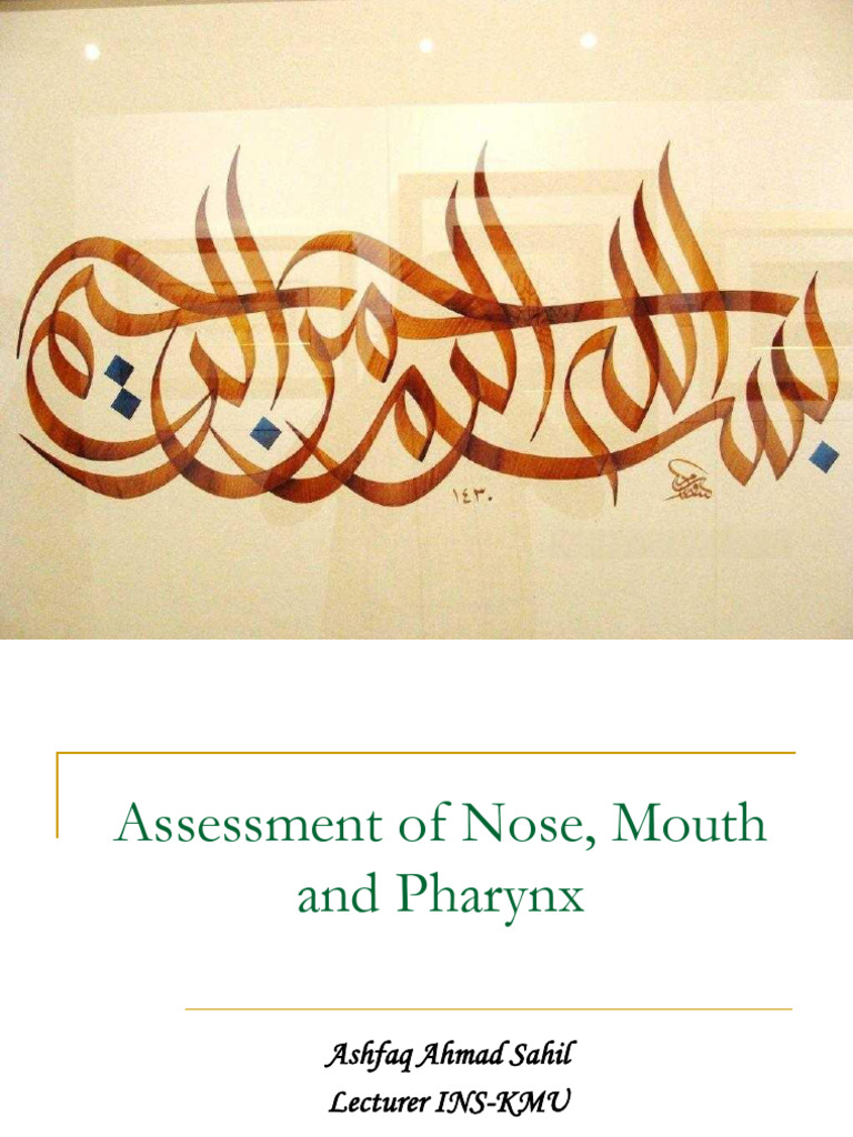 Nose and Mouth Health Assessment Guide | PDF | Human Nose | Human Head ...