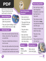 Owl Babies | PDF | Owl