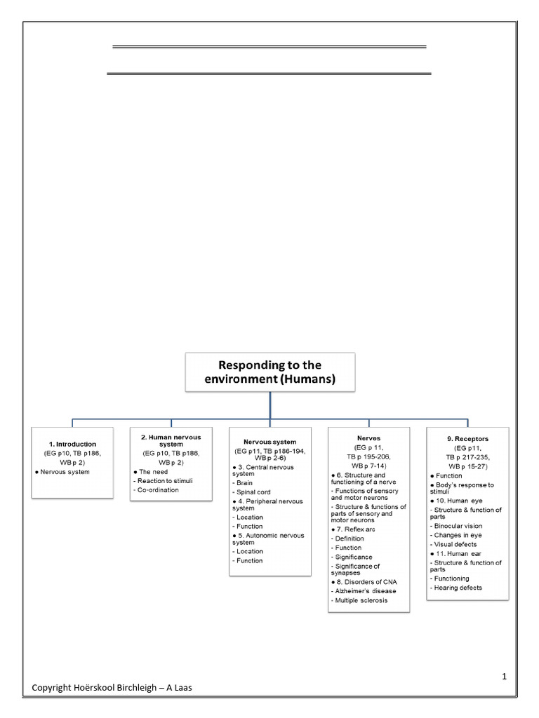 GR 12 LS Topic 6 - Responding To The Environment - Humans - 2021 - Workbook - RL | PDF | Ear ...