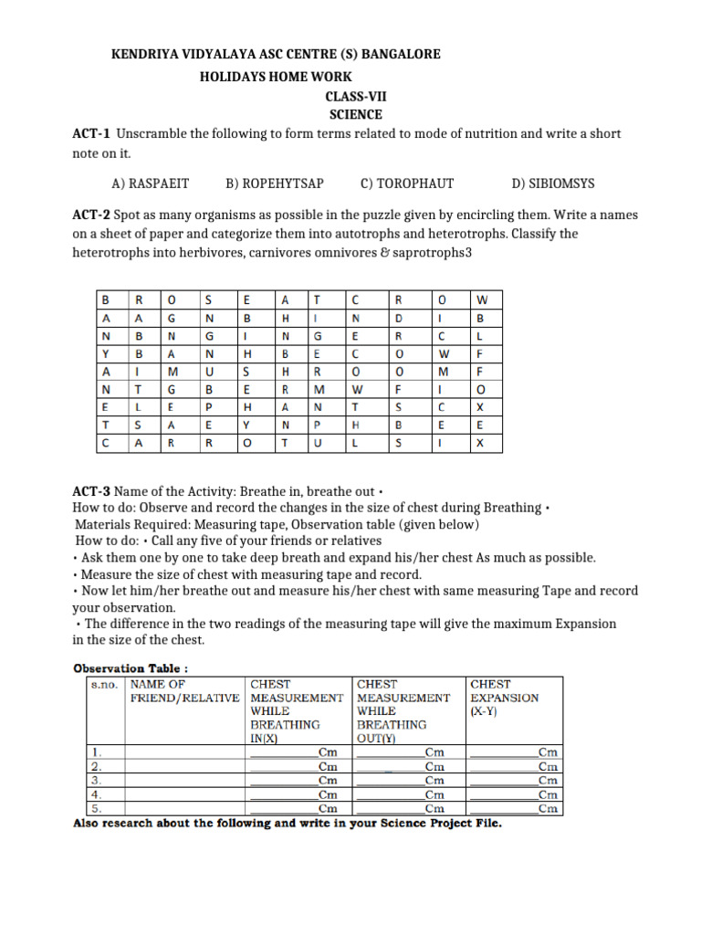 Class VII Holiday Homework | PDF