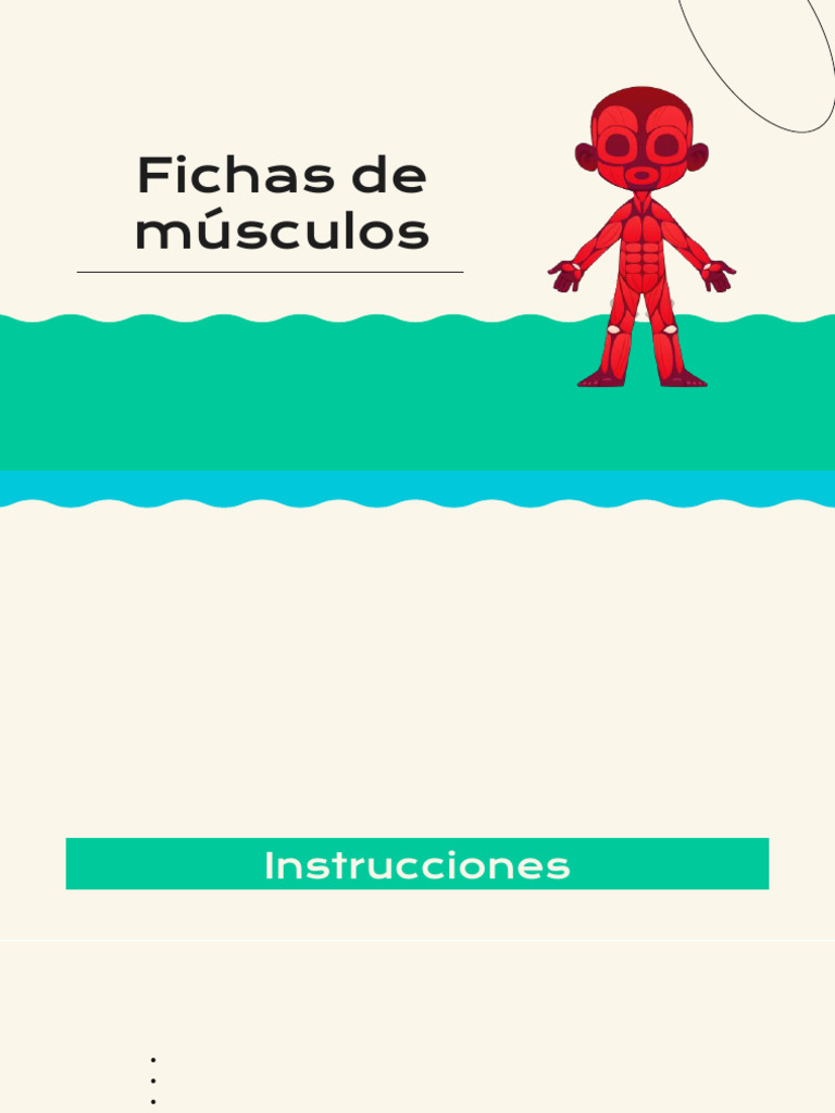 Fichas de Musculos 2024-01 | PDF | Pie | Extremidades (anatomía)