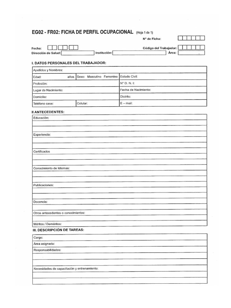 Eg02 FR02 Ficha Del Perfil Ocupacional | PDF