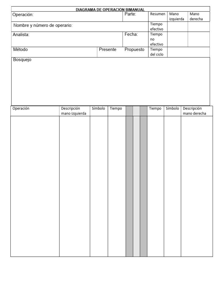 Formato de Diagrama Bimanual | PDF