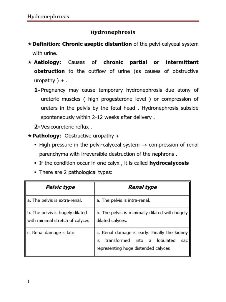 11 Urosurgery Hydronephrosis | PDF | Kidney | Diseases And Disorders