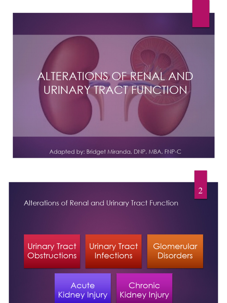 Alterations of the Renal system and Urinary Tract_Miranda Class Slides ...