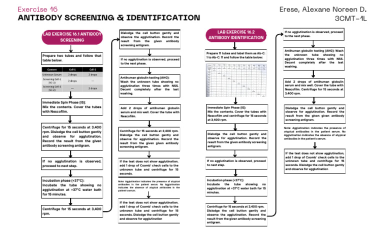 Flow Chart_ Antibody Screening and Identification | PDF | Blood | Serology