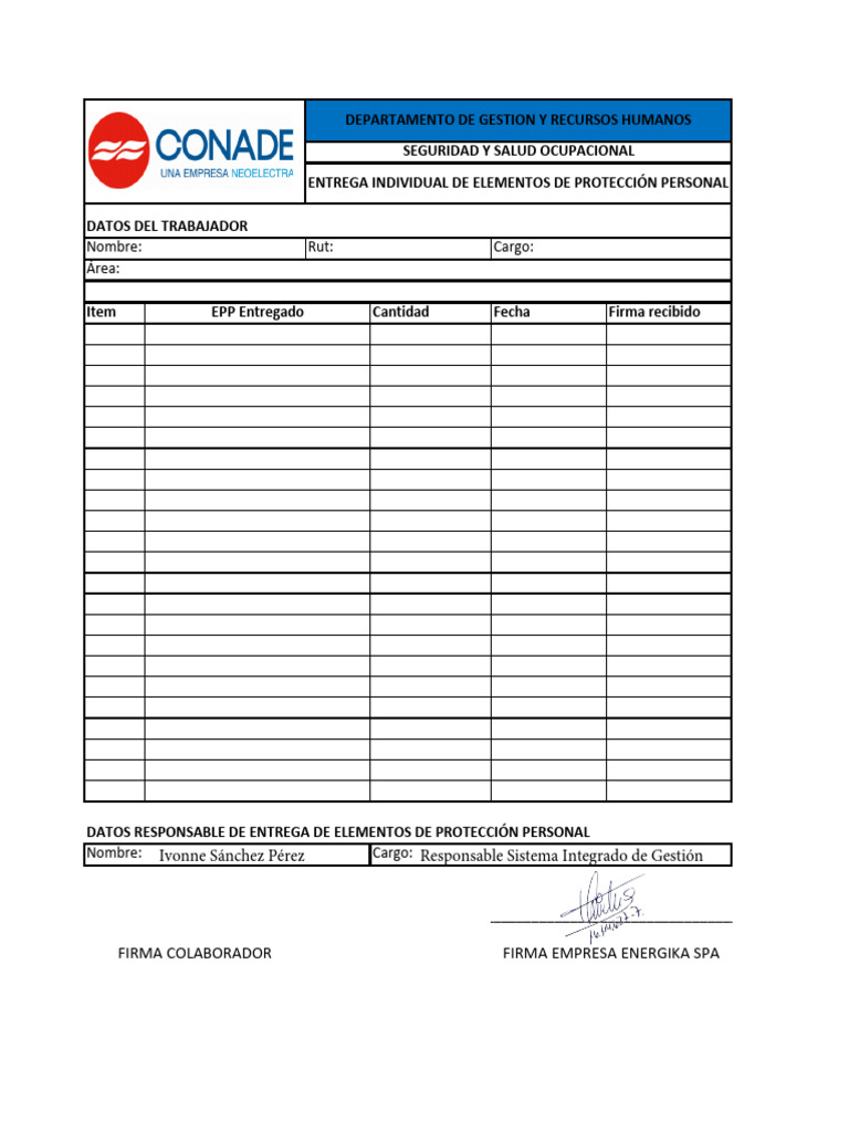 RECEPCIÓN EPP Basico | PDF