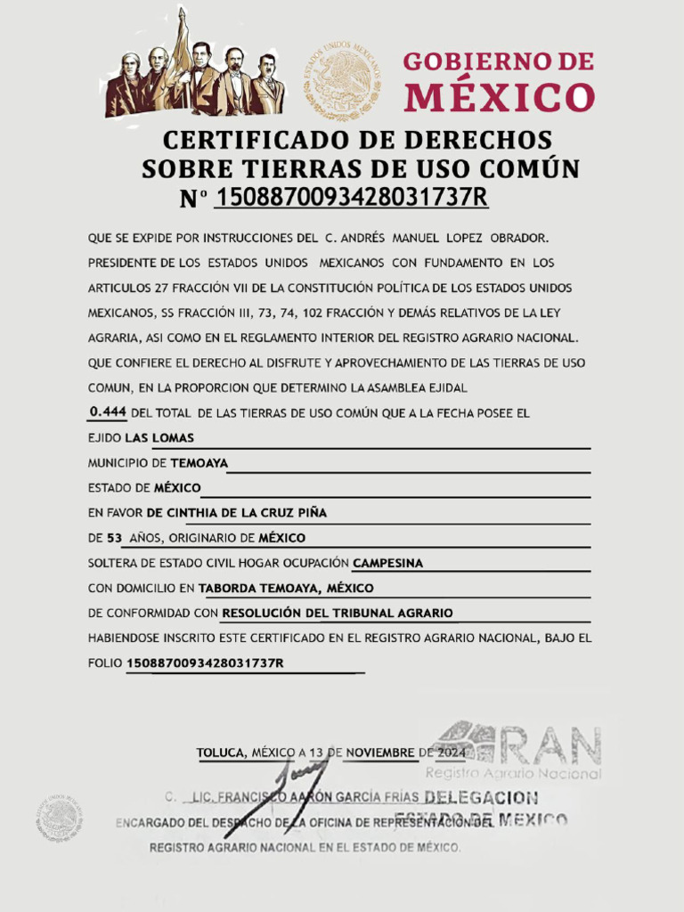 Uso Comun 1 | PDF