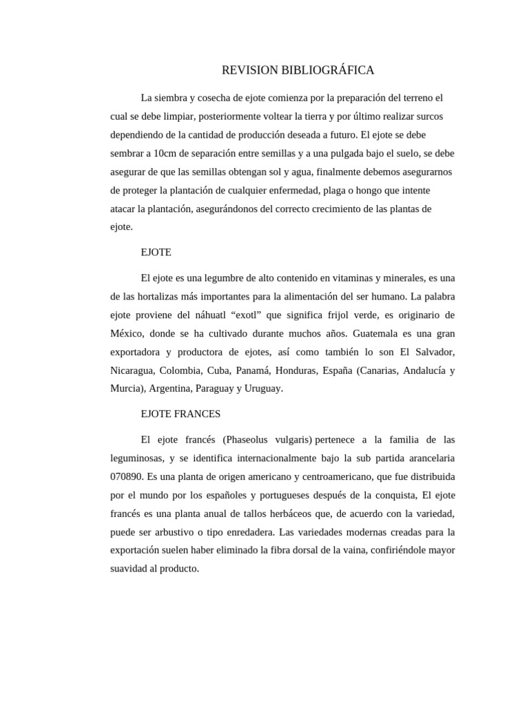 Cultivo y Cosecha de Ejote Francés | PDF | Siembra | Judías verdes