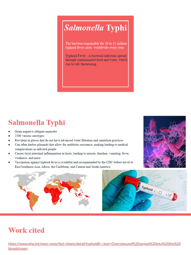 Understanding Salmonella Typhi and Typhoid Fever | PDF