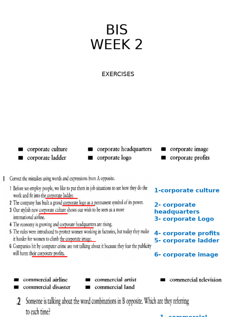 BIS Week 2 Exercises | PDF