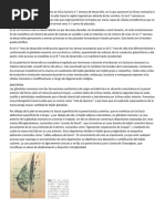 Anatomía y Función de la Mama Femenina | PDF | Pecho | Anatomía humana