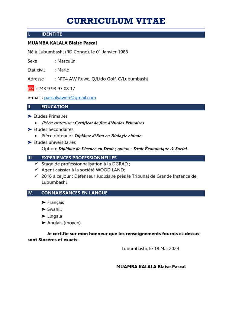 CV de Blaise Pascal Muamba Kalala | PDF