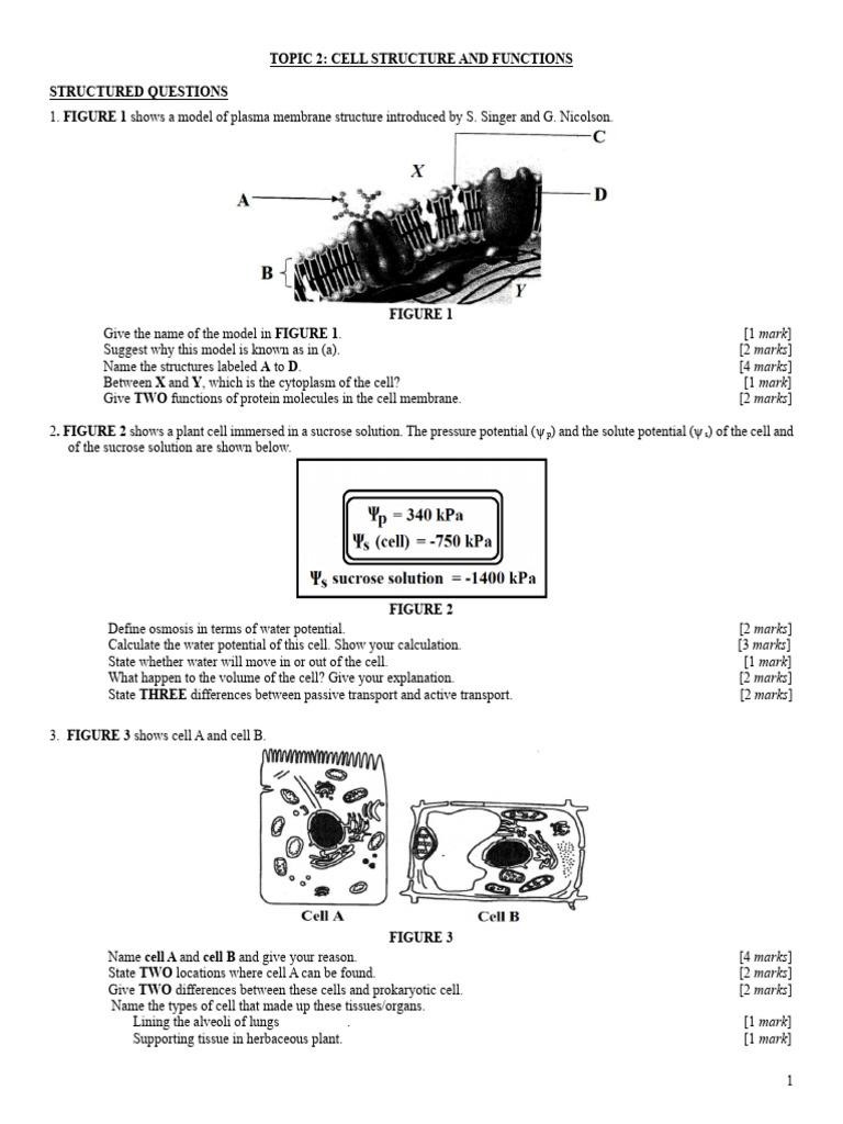 Chapter 2 - Cell Structures and Functions | PDF | Cell Membrane | Cell ...