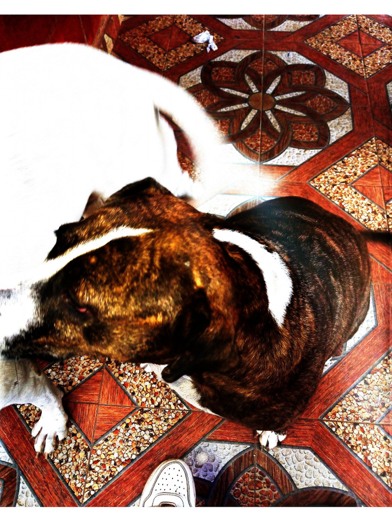 PDFReader 20250507 170 | PDF